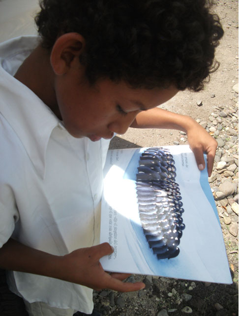 EL LIBRO VOLADOR – Sheffield Estelí Society